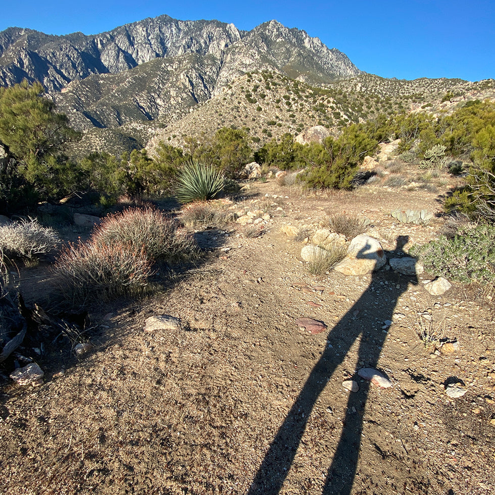 Trail Runner's Handbook: Cactus to Clouds to Cactus – Janji
