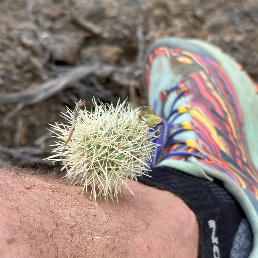 Trail Runner's Handbook: Cactus to Clouds to Cactus – Janji